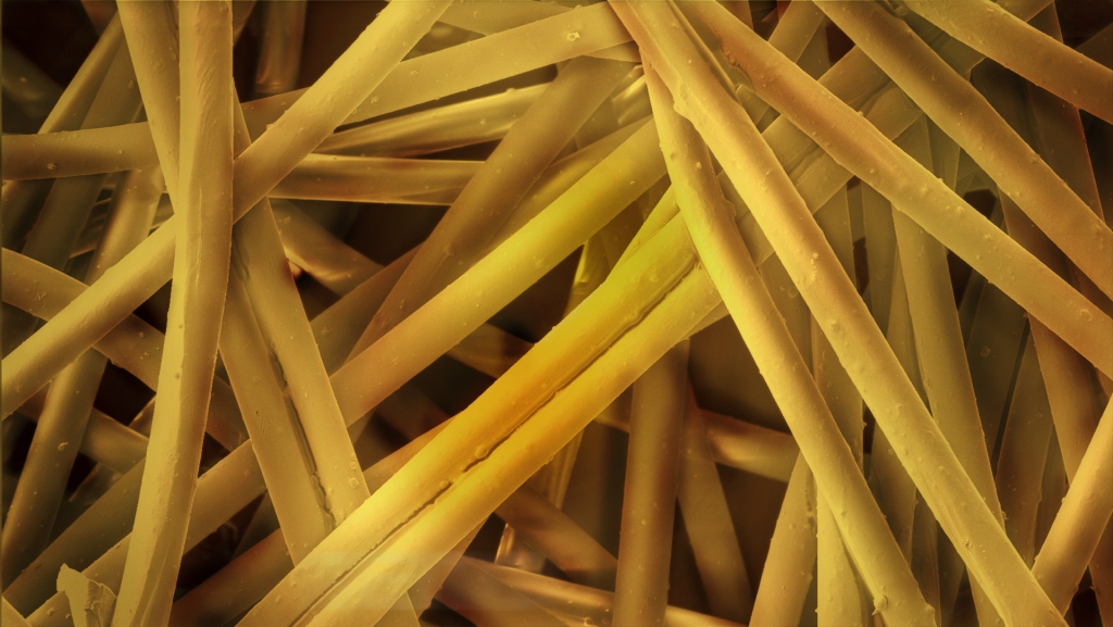 Respilon - Life's worth it